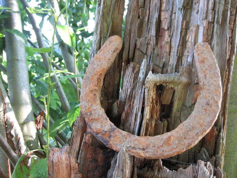 Pasaga - Sėkmė, laimė ir namų apsauga.